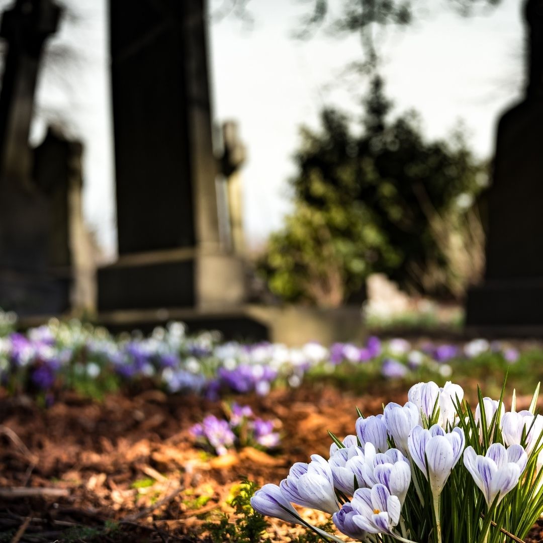 Cemeteries and the Funeral Rule – How it Applies to Cemeteries
